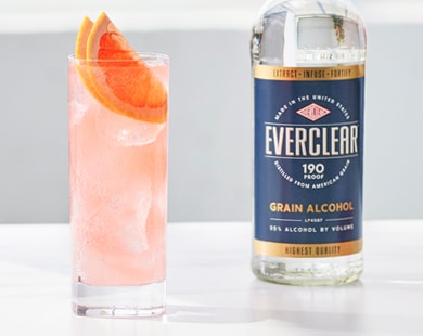 Fizzy Dog - Everclear