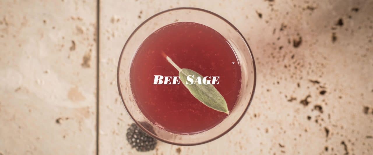 Bee Sage - Everclear