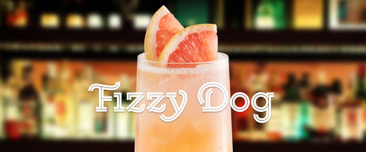 Fizzy Dog - Everclear