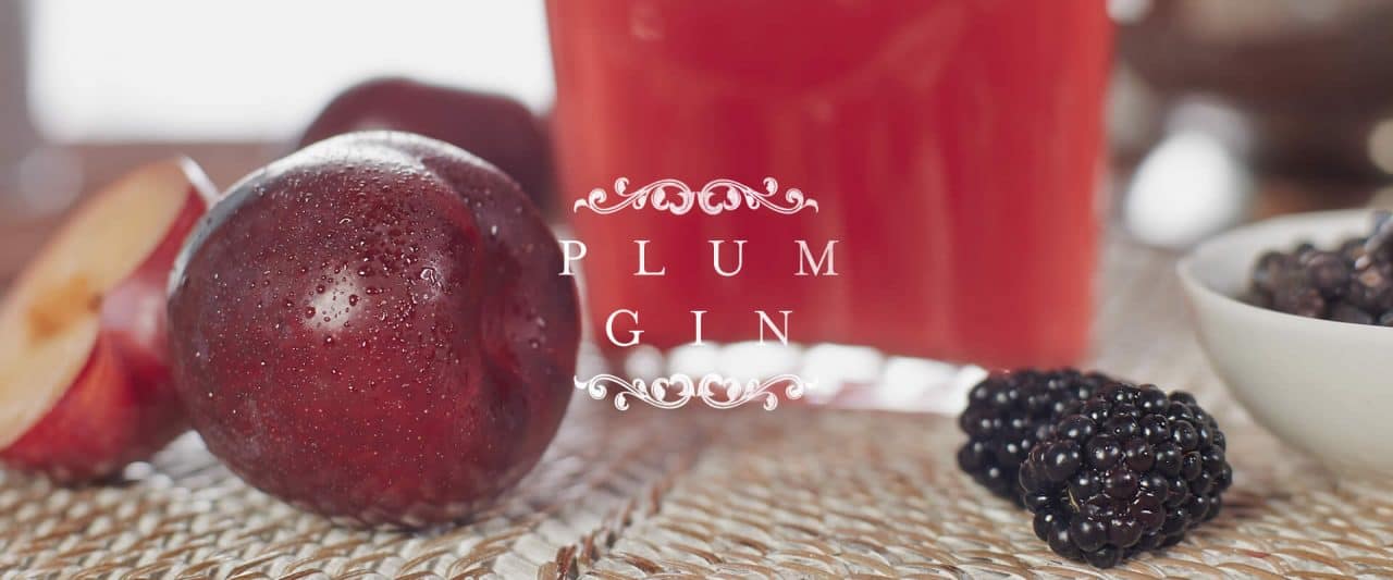 Plum Gin - Everclear