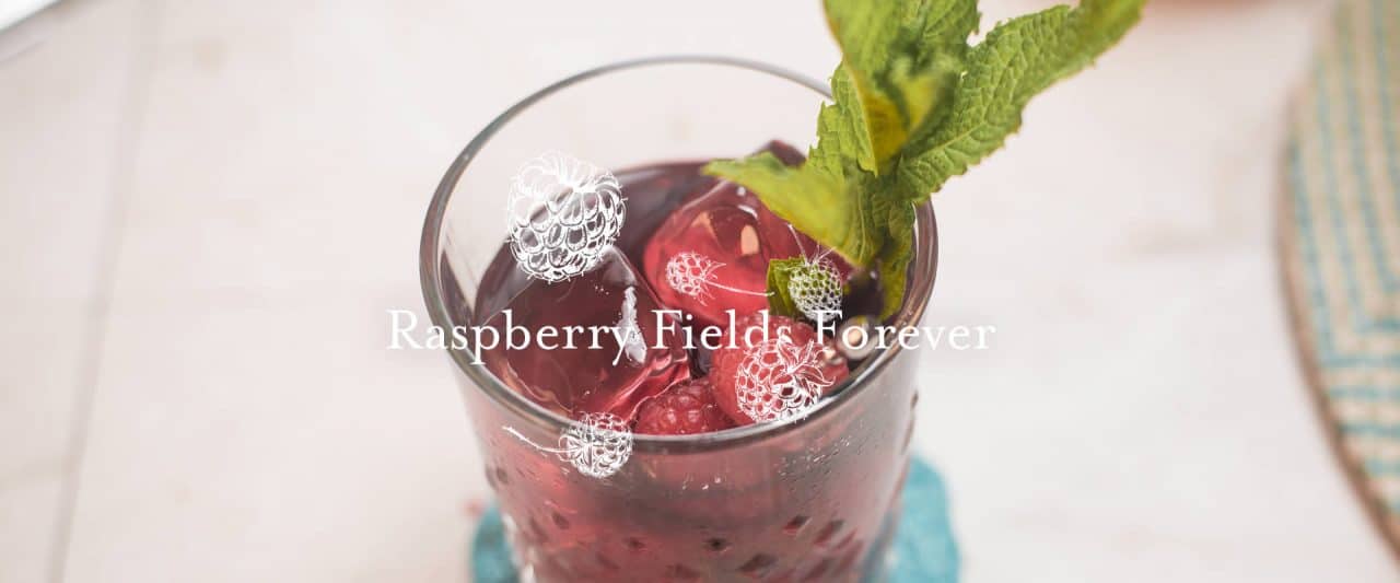 Raspberry Fields Forever - Everclear