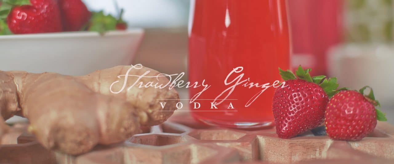 Strawberry Ginger Vodka - Everclear